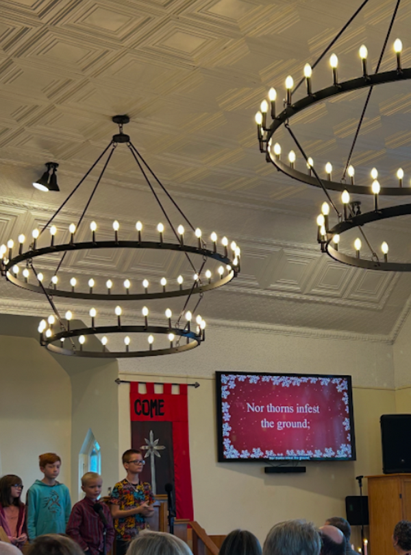 St. James Sullivan 2 Tier Steel Pendant Light Chandelier – TetonLighting™